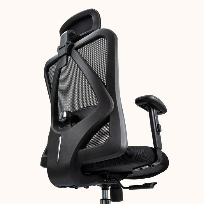Duramont Ergonomic Office Chair - Black