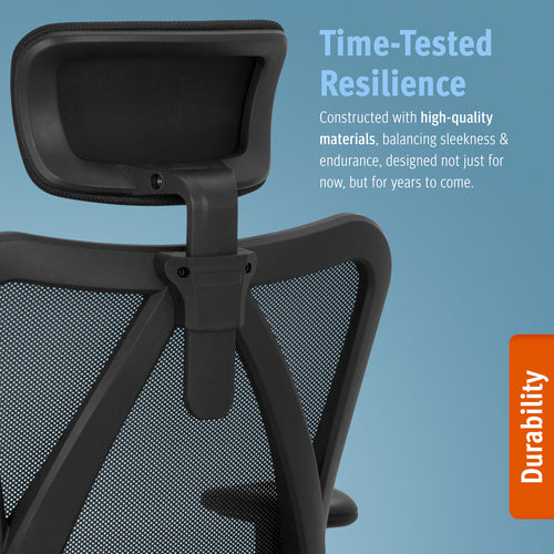 Duramont Ergonomic Office Chair - Black